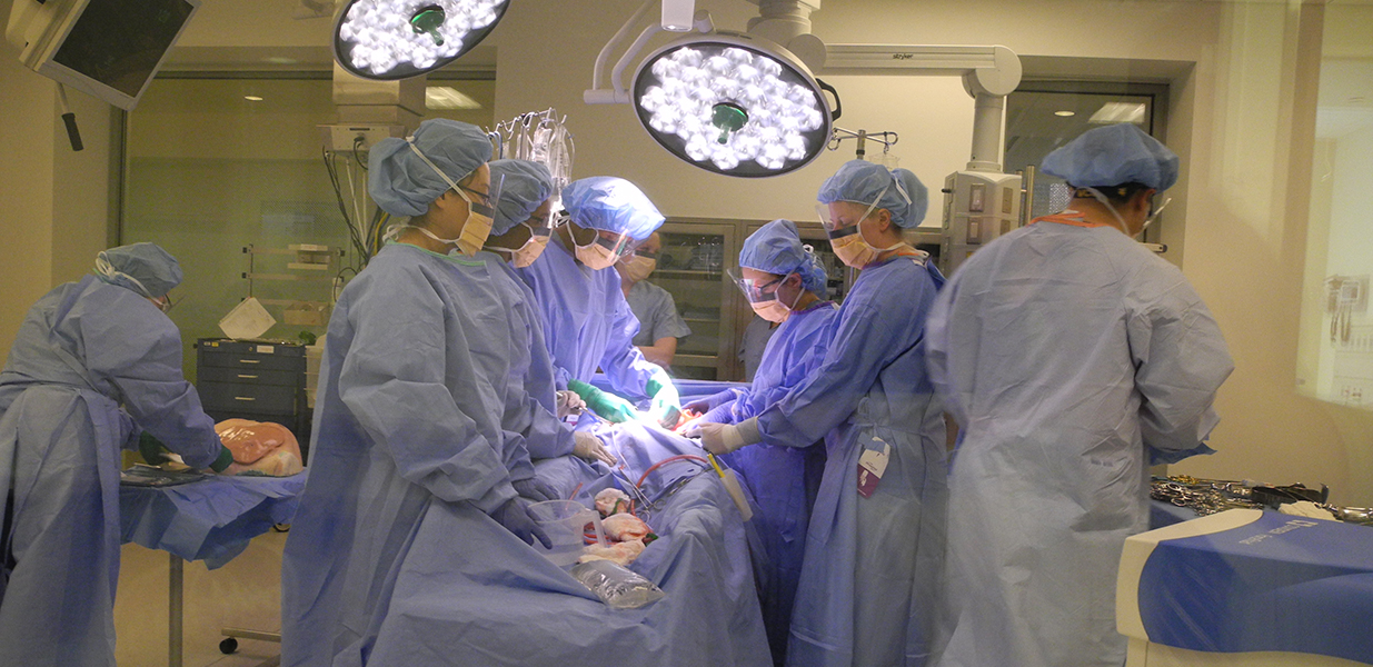 Photo Gallery VCU School of Medicine