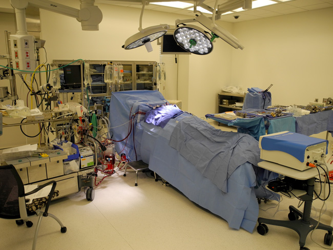 Photo Gallery VCU School of Medicine